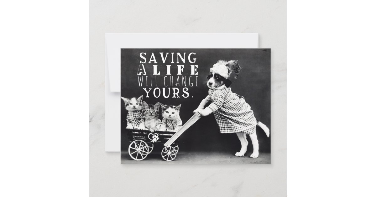 犬と猫の養子縁組と救助グリーティングカード シーズンカード | Zazzle.co.jp